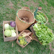 Rural Poverty in Brazil: Giving for a Life of Abundance - ATD Fourth World