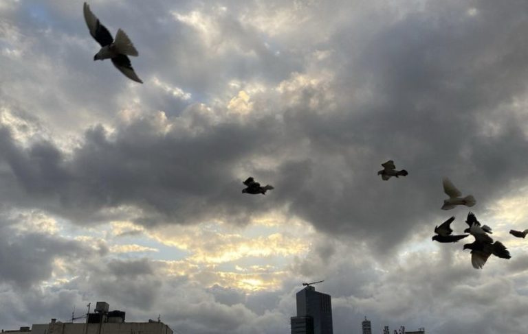 Alongside People in Poverty - ATD Fourth World